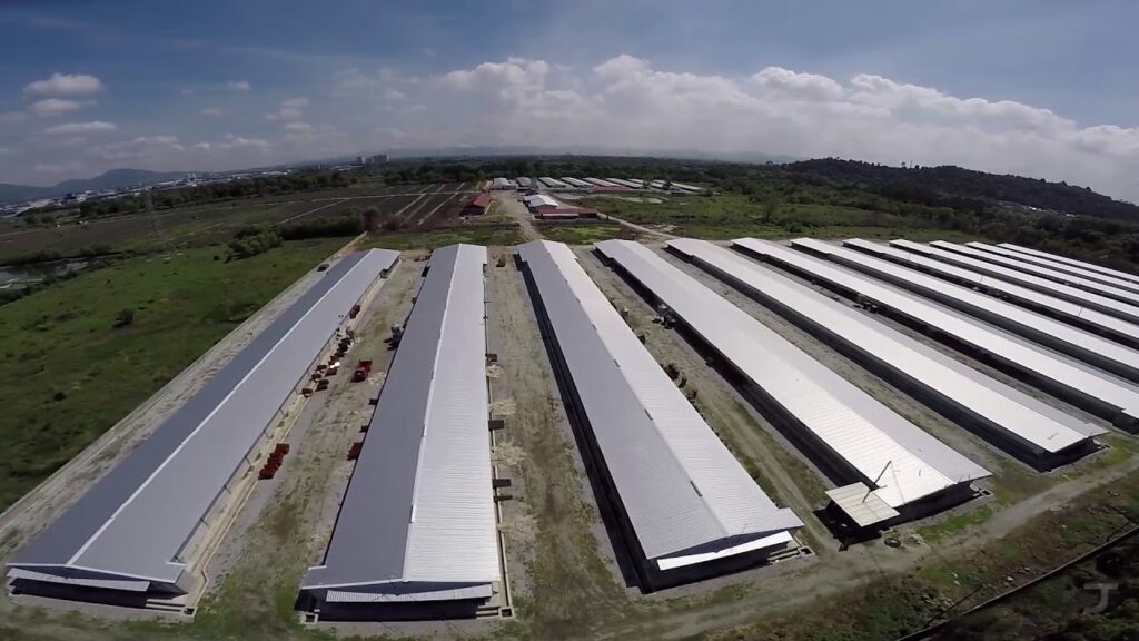 PPInternational – High Performance Coatings and Equipment